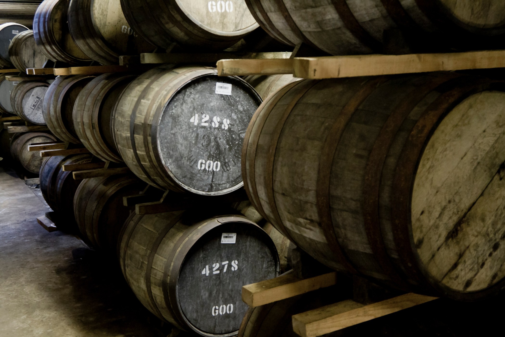 Stirling: Wee Walk & A Gin Tour | Walking Tours in Stirling